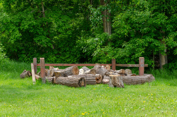 Free Stock Photo of Group of Logs on Lush Green Field | Download Free ...