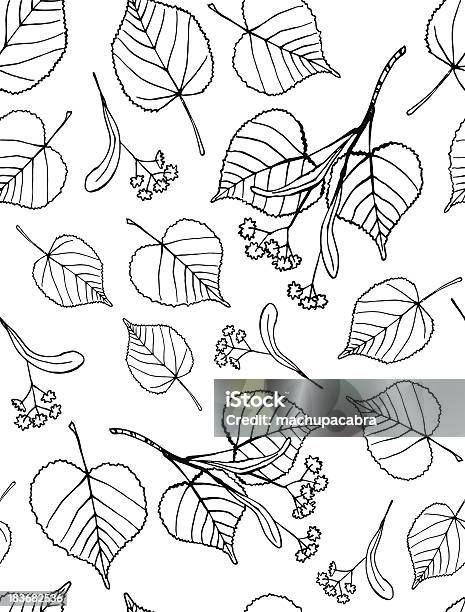 Tilia 연속무늬 꽃 식물에 대한 스톡 벡터 아트 및 기타 이미지 꽃 식물 벡터 참피 나무 Istock