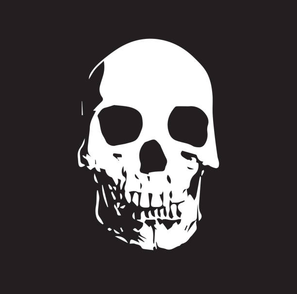 20 White Black Background Dead Body Human Skeleton Stock Illustrations