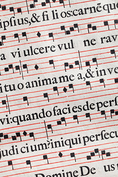 Latin Mass Pictures | Download Free Images on Unsplash