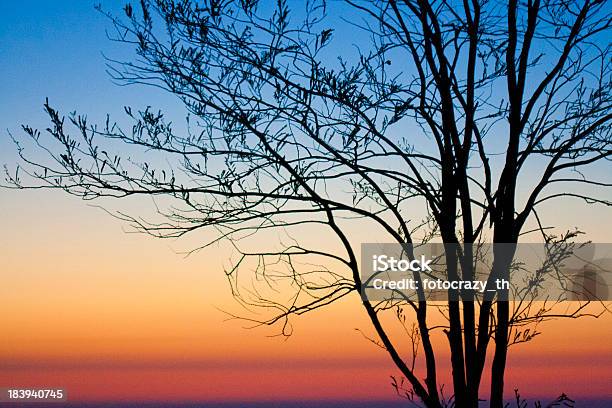 Phu Kradueng 국립 공원 태국 경관에 대한 스톡 사진 및 기타 이미지 경관 구름 금색 Istock