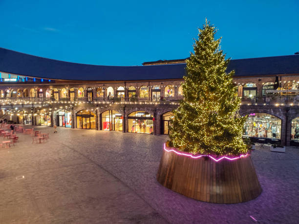 Free Stock Photo of Large Christmas Tree in Shopping Mall | Download ...