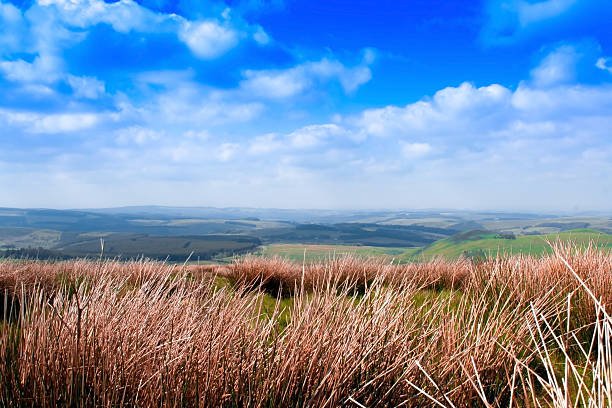 Pfp Landscape Aforestation - Free photo on Pixabay