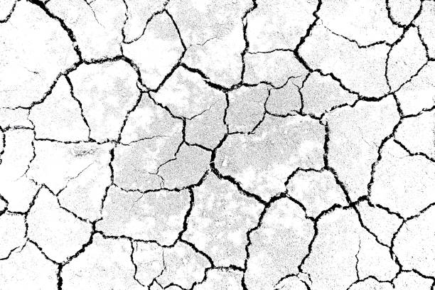Free Picture Texture Of A Surface Of A Cracked Ground With Dry Mud During Dry Season