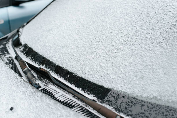 Free Stock Photo of Close Up of Car Hood Covered in Snow | Download ...