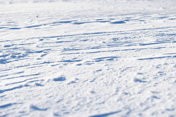 Free Stock Photo of Undisturbed snow surface under sunlight | Download ...