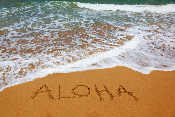 Aloha Pictures | Download Free Images on Unsplash