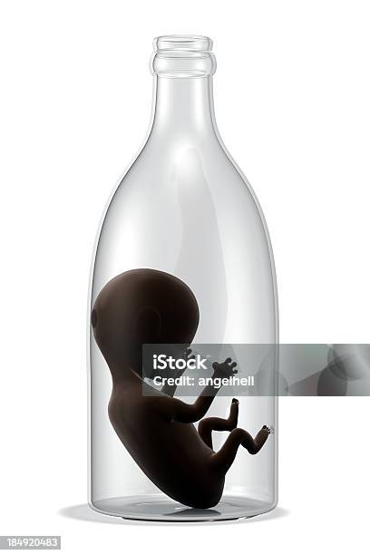 Human Fetus Confined Inside Of A Bottle Stock Photo - Download Image ... Human Fetus Confined Inside Of A Bottle Stock Photo - Download Image ...