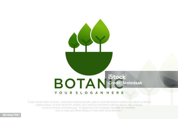 Konsep Ikon Pohon Dari Pohon Bergaya Dengan Daun Ilustrasi Vektor Ilustrasi Stok Unduh Gambar