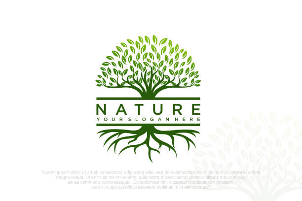 Explore 34,836+ Free Tree With Roots Illustrations: Download Now - Pixabay