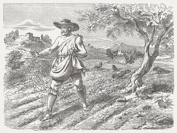 Sower Of Seeds Clip Art