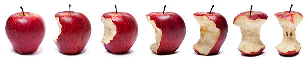 Apple Core Pictures | Download Free Images on Unsplash