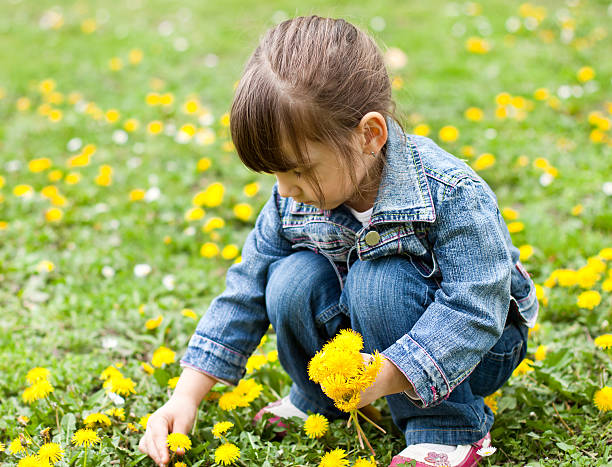 28 700+ Cueillir Fleur Photos, taleaux et images libre de droits - iStock 28 700+ Cueillir Fleur Photos, taleaux et images libre de droits - iStock
