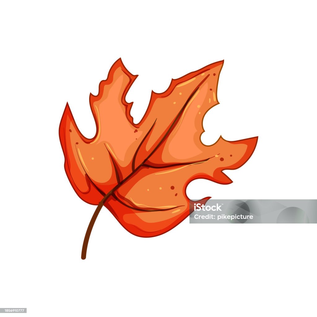 Autumn Maple Leaf Cartoon Vector Illustration Stock Illustration