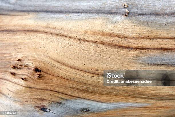 Wood Texture 照片檔及更多 厚板 照片 厚板 咖啡色 大自然 Istock