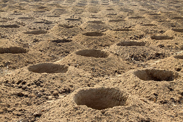 Hole In The Ground Pictures | Download Free Images on Unsplash