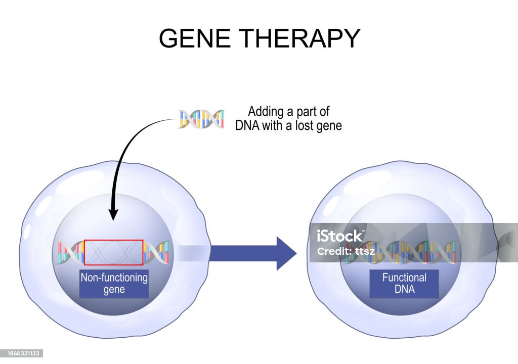Gene Therapy Genetic Engineering Genome Editing Stock Illustration ... Gene Therapy Genetic Engineering Genome Editing Stock Illustration ...