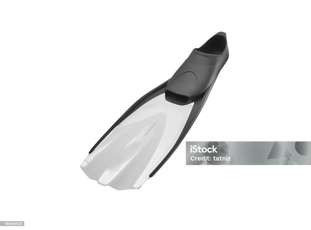 Flippers 흰색 바탕에 흰색 배경 0명에 대한 스톡 사진 및 기타 이미지 0명 사진 이미지 수영복 Istock