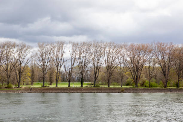 Free Stock Photo of River Running Through Park With Trees | Download ...