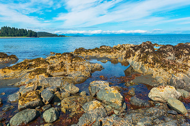 Free picture: scenic, landscape, Uganik, bay, Kodiak, island