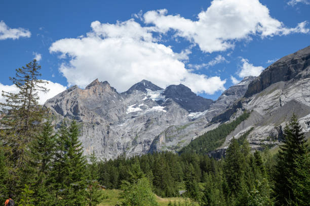 Free picture: mountain peak, distance, glacier, pine, trees, forest ...