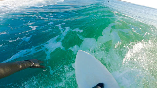 Free Stock Photo of Person Riding a Wave on Top of a Surfboard ...