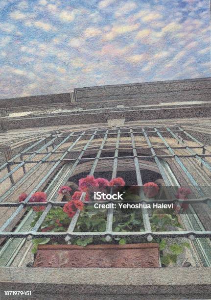 Fotos Ilustración De Geranios Rojos En Caja De Flores Detrás De Las ... Fotos Ilustración De Geranios Rojos En Caja De Flores Detrás De Las ...