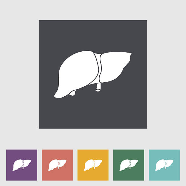 110 Cirrhosis Liver Clip Art Stock Illustrations Royalty Free Vector