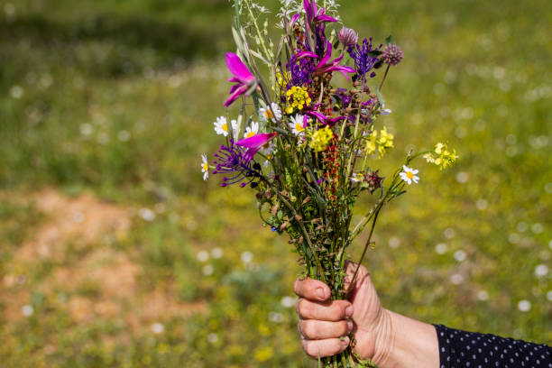 Free Stock Photo of A hand holding a bunch of flowers | Download Free ...