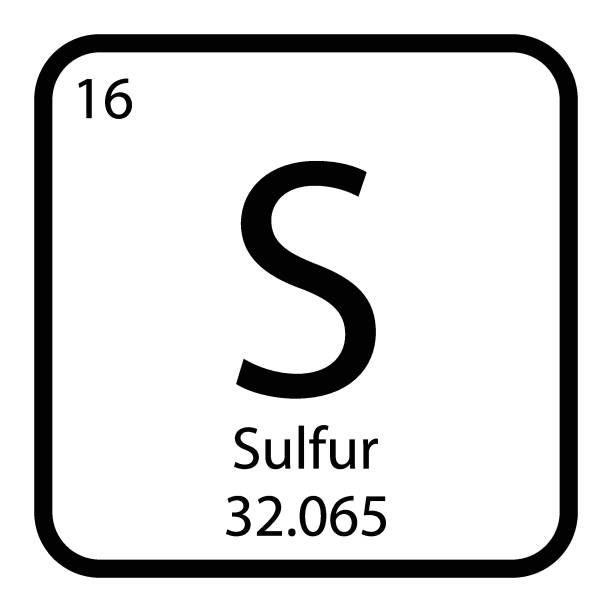 50+ Sulfur Cycle Stock Illustrations, Royalty-Free Vector Graphics ... 50+ Sulfur Cycle Stock Illustrations, Royalty-Free Vector Graphics ...