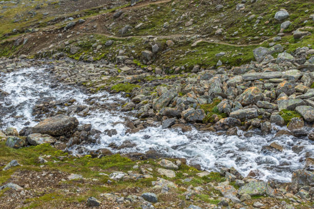 Free Stock Photo of Grassy Hill With Stream Running Through | Download ...