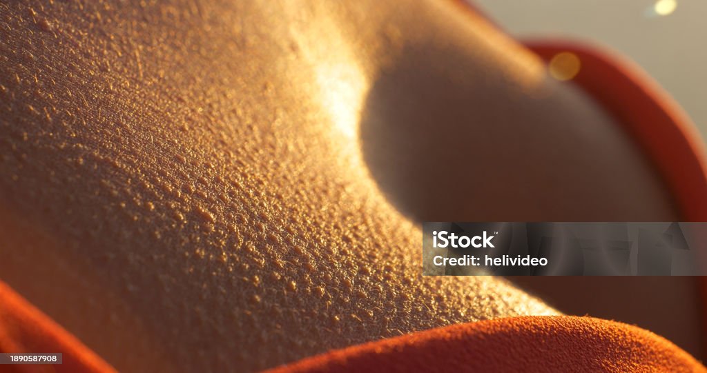 Macro Dof Shivering Female Skin With Goosebumps In Beautiful Golden