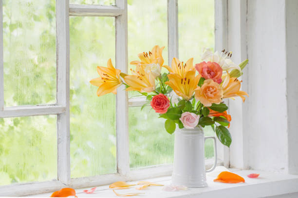 Free Stock Photo of Round window with Flower Background | Download Free ...
