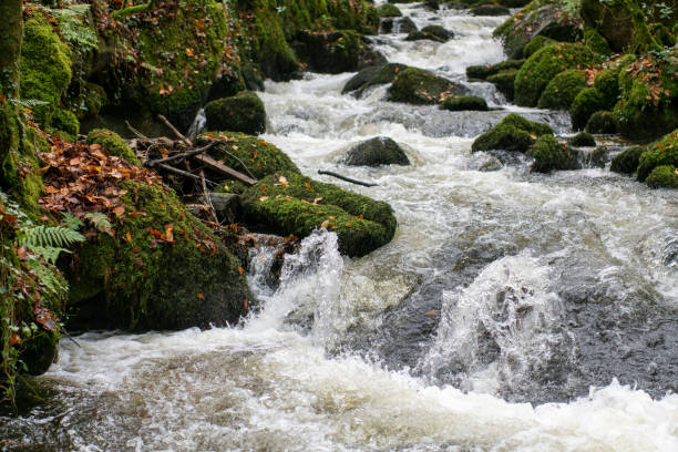 Free Stock Photo of Stream in England | Download Free Images and Free ...
