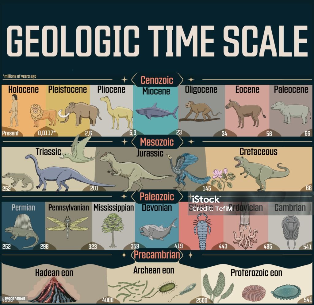 Geologic Time Scale Colorful Poster Stock Illustration - Download Image ... Geologic Time Scale Colorful Poster Stock Illustration - Download Image ...