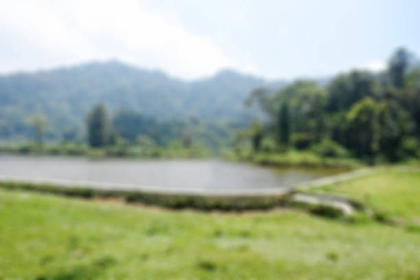 Free Stock Photo of Blurry Lake With Mountains in Background | Download ...