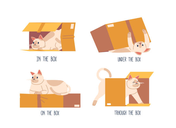 English prepositions Clipart Vector PNG , SVG, EPS, PSD, AI