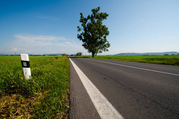 Free Stock Photo of Empty Road Cutting Through Grassy Field | Download ...