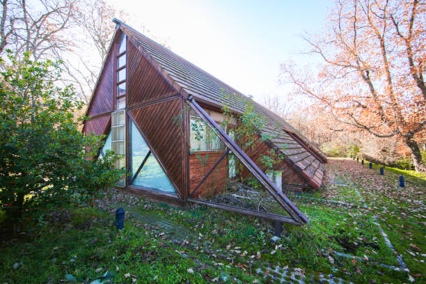 Free Stock Photo of A roof with triangular windows | Download Free ...