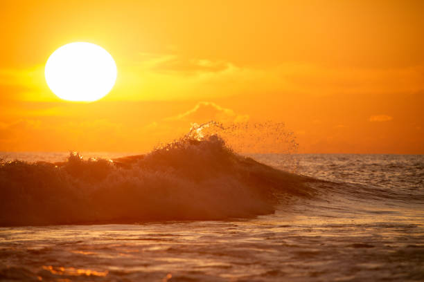 Free Stock Photo of Sun Setting Over Ocean Waves | Download Free Images ...