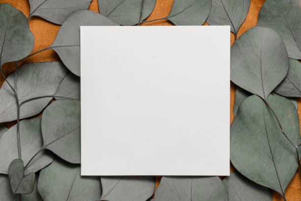 Free picture: White square paper template with colorful leaves around it