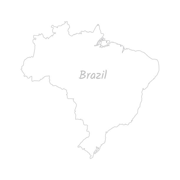 130 Mapa De Brasil Y Viajes Infografía Plantilla De Diseño Fotografías