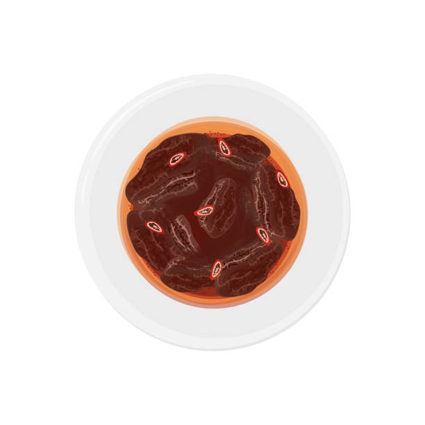 80 Rendang Vector Stock Illustrations Royalty Free Vector Graphics And Clip Art Istock