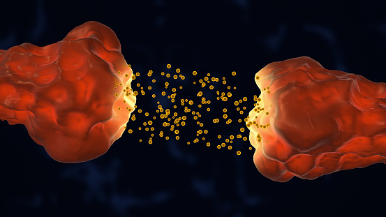 Animación Médica De La Actividad Neuronal Y Sináptica Foto De Stock Y