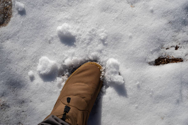 Free Stock Photo of Feet in Orange Shoes Standing in Snow | Download ...