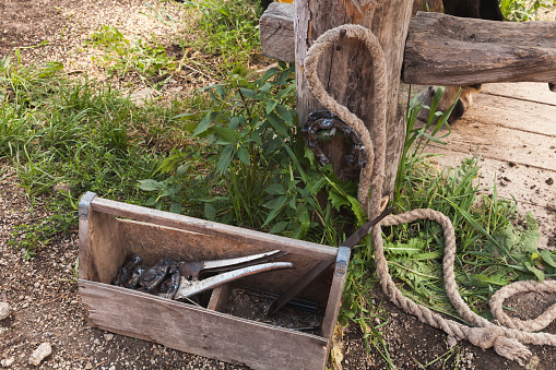 Free picture: wood, object, rope, grass Free picture: wood, object, rope, grass
