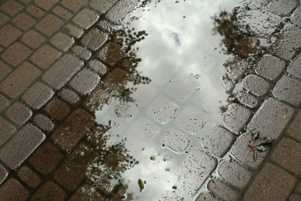 Free Stock Photo of Reflective urban water puddles on pavement ...