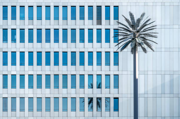 Free Stock Photo of Modern Office Building With Palm Trees | Download ...