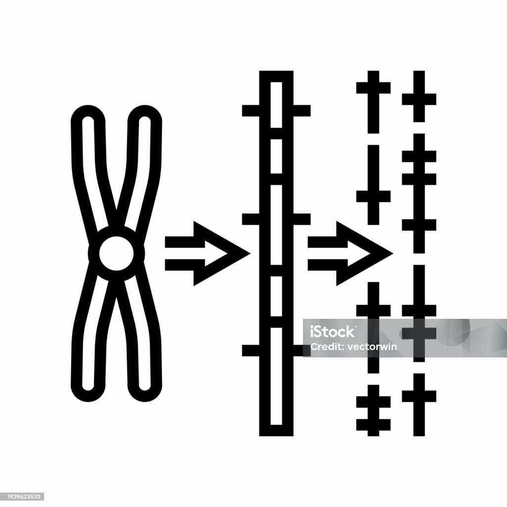 Gene Mapping Cryptogenetics Line Icon Vector Illustration Stock