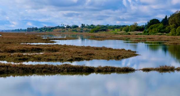 Free Stock Photo of Fiery sunset over the salt marsh of Ria Formosa ...